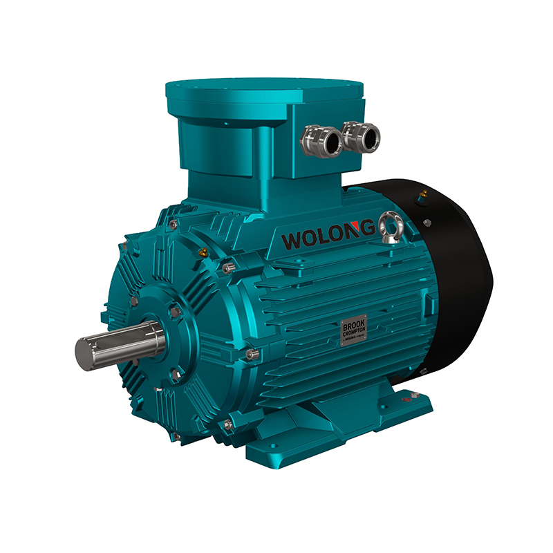 China Brook brand WE Series High Efficiency Three Phase Asynchronous Motor Manufacturer and ...