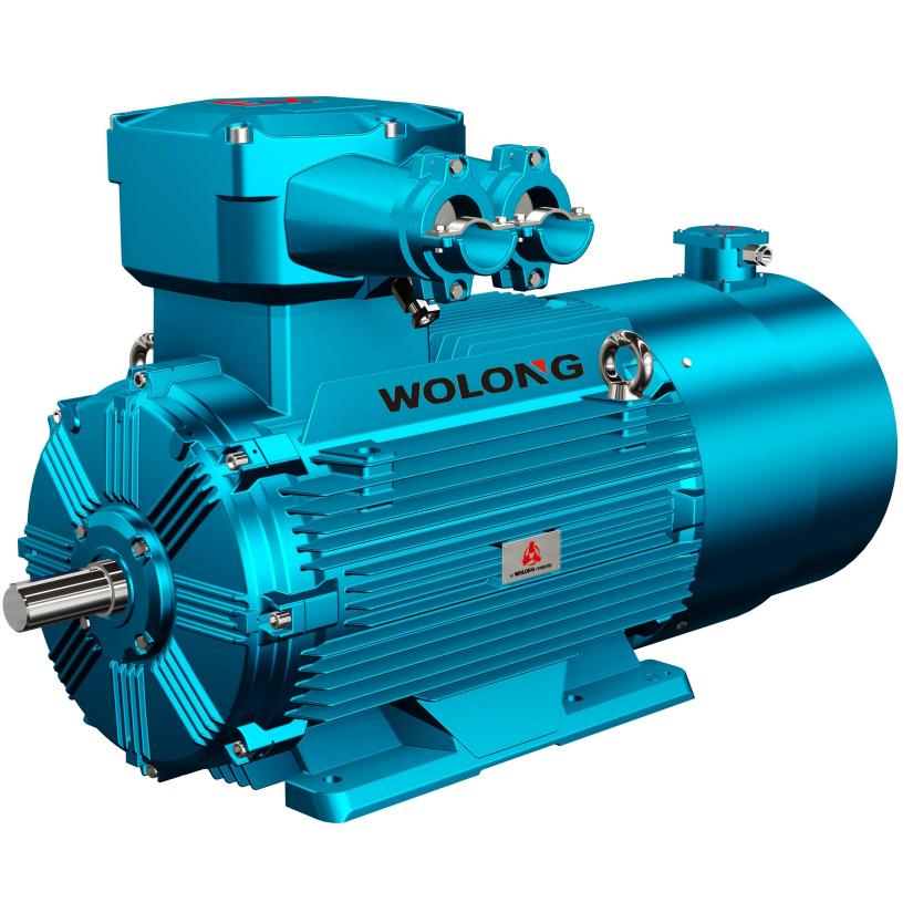 China Wolong Nanyang YBBP series low voltage variable frequency explosion-proof three-phase ...