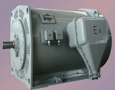 China WOLONG Nanyang ATB brand YBXKK High-Voltage High-Efficiency Explosion-Proof Electric Motor ...